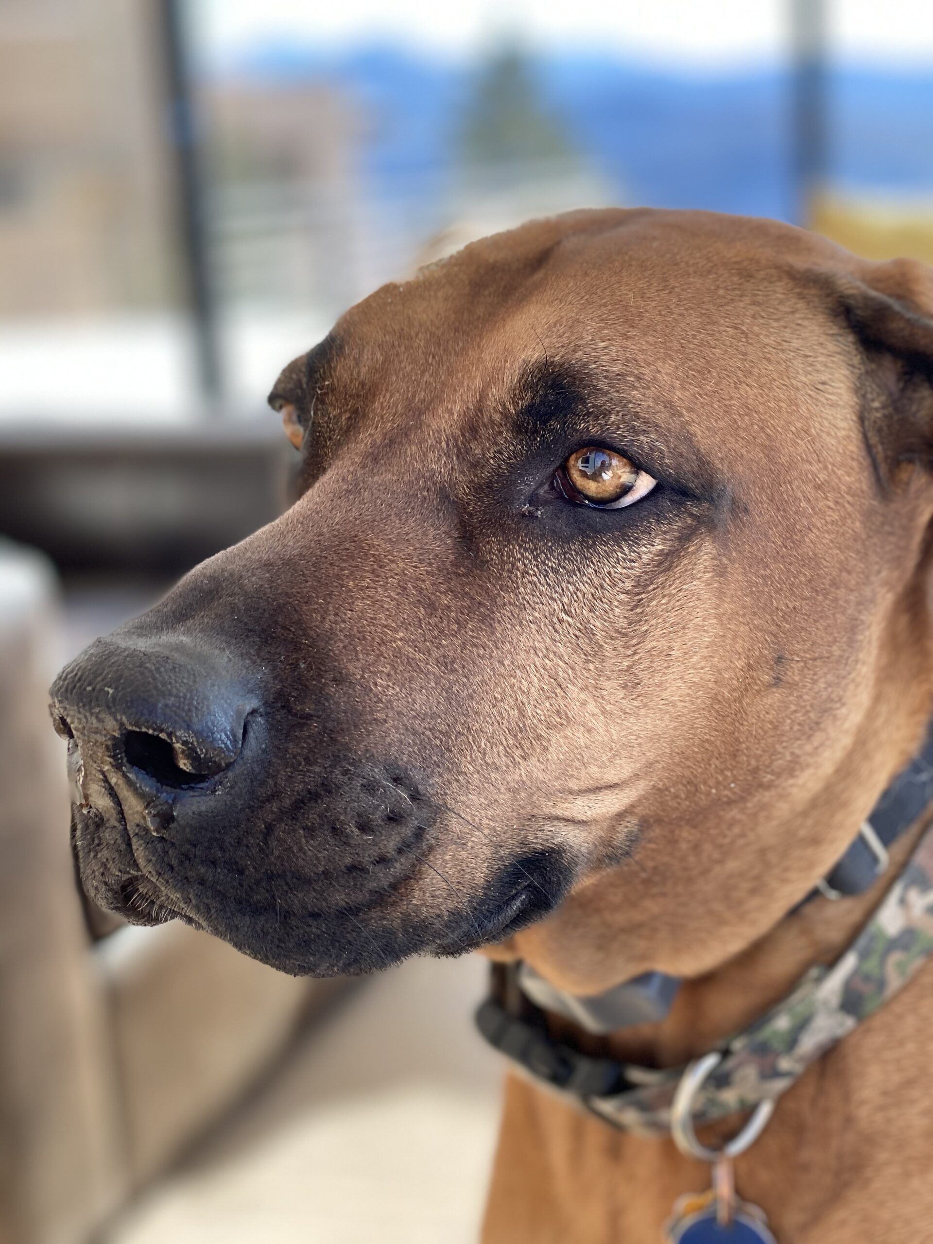 Front Page - Highline Wood Art